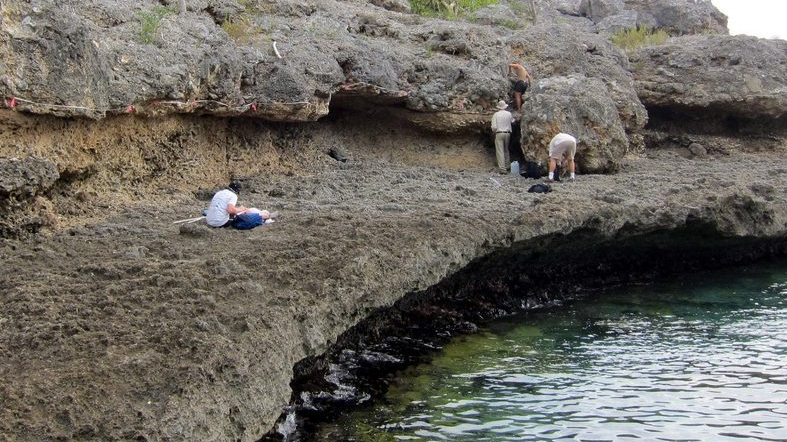 B.A. in Geology – Elizabeth Erickson