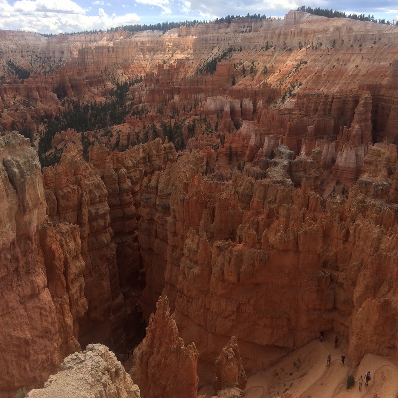 Elizabeth Erickson – Life in Motion