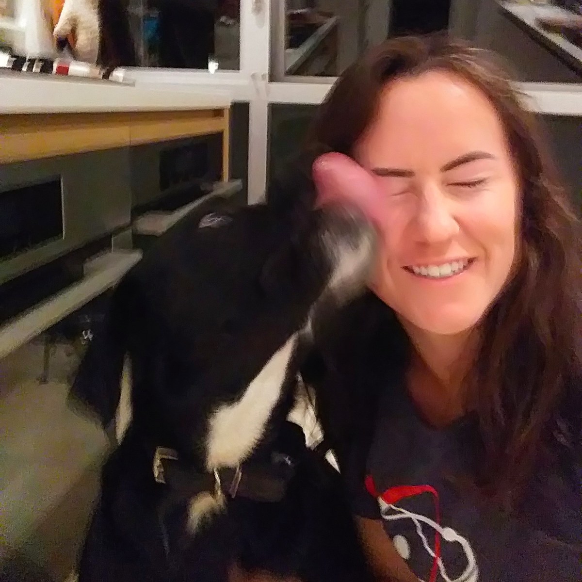 A day in my life as a scientist. – Elizabeth Erickson